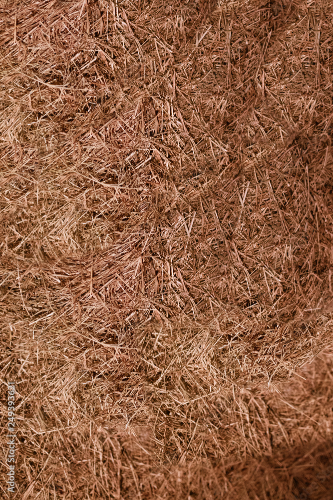 palha textura Stock Photo | Adobe Stock