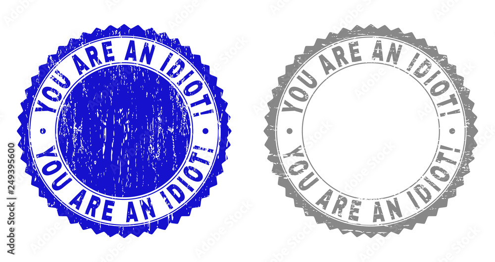 Grunge YOU ARE AN IDIOT! stamp seals isolated on a white background ...