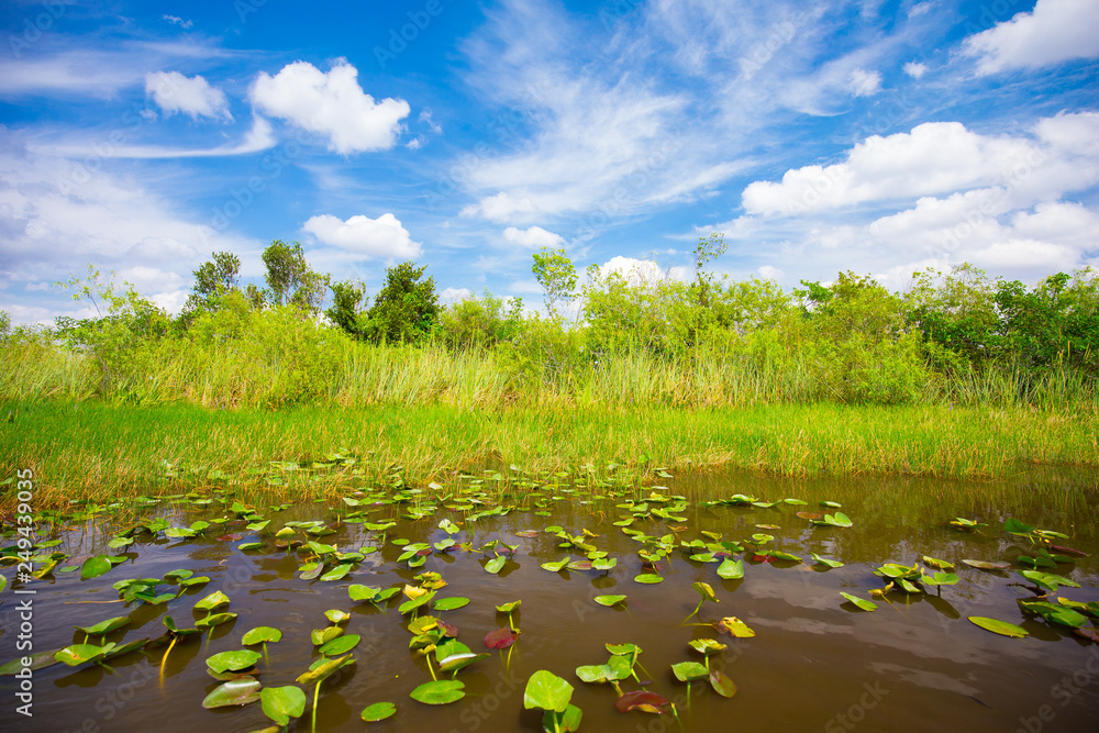 Everglades National Park. Swamps of Florida. Big Cypress National ...