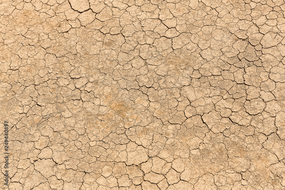 Dry Land Texture