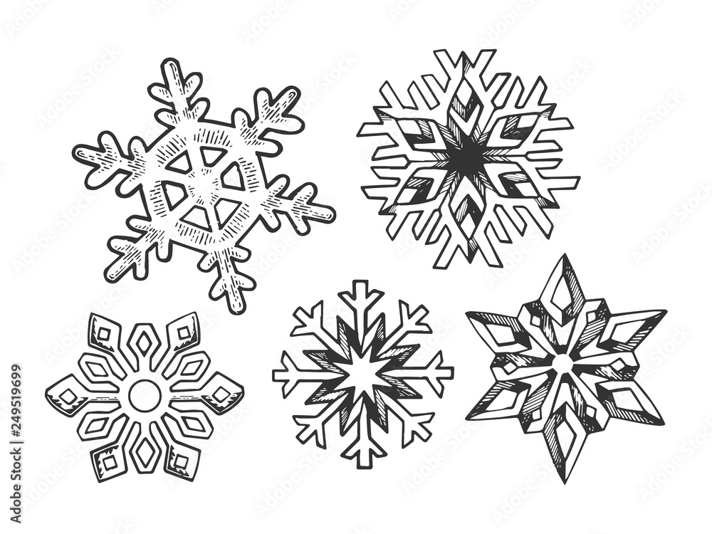 Snowflake set sketch sketch engraving vector illustration. Scratch ...