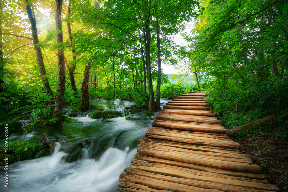 Beautiful wooden path trail for nature trekking with lakes and ...