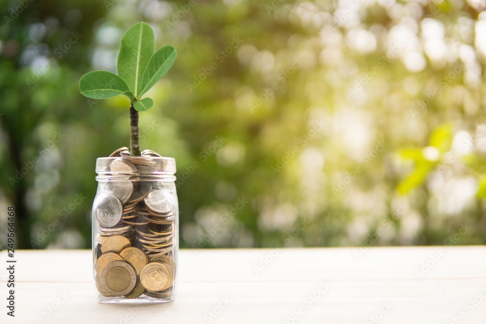 The growing tree from coins in the glass jar on blurred green natural ...