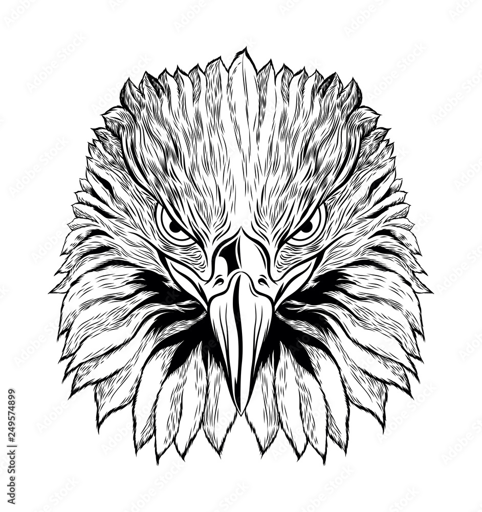 Eagle Head Front Vector