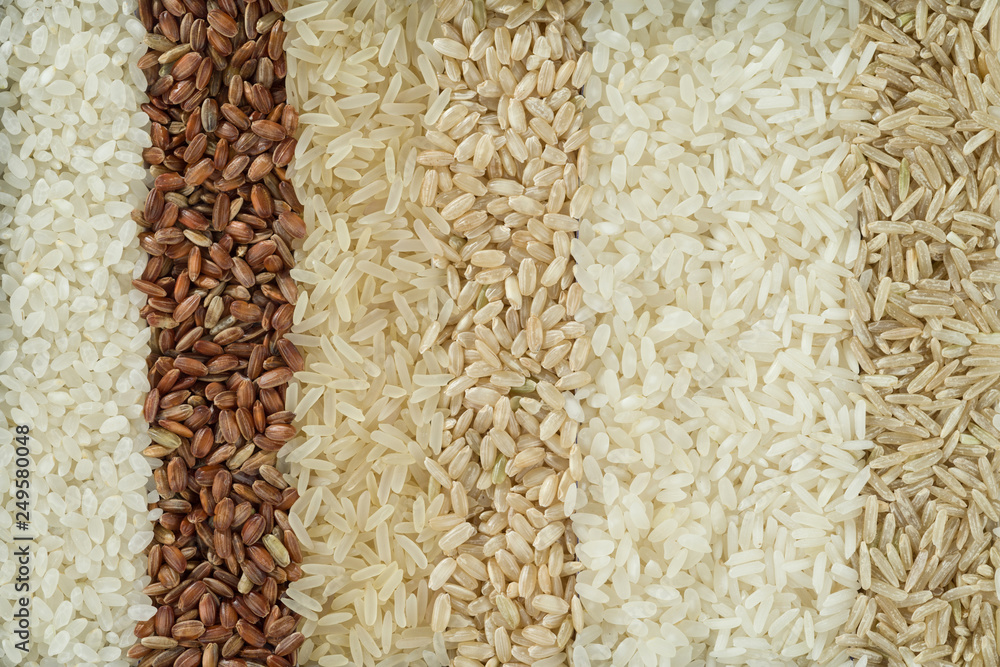 Seven different varieties of rice are placed in rows. The texture of ...