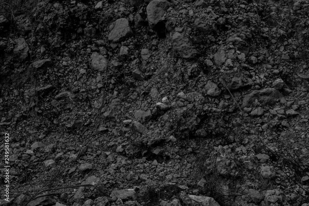 Black and white abstract background of rocky soil with plant roots for ...