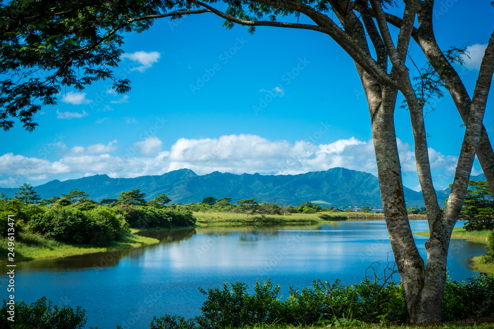 Tanada Reservoir, Oahu Hawaii Stock Photo | Adobe Stock
