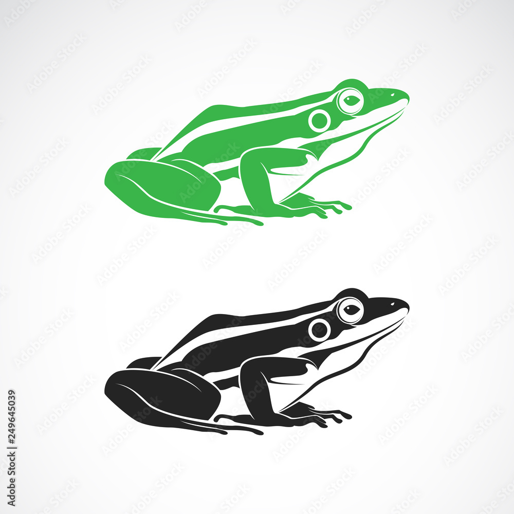 Vector of green frogs and black frog on white background. Amphibian ...