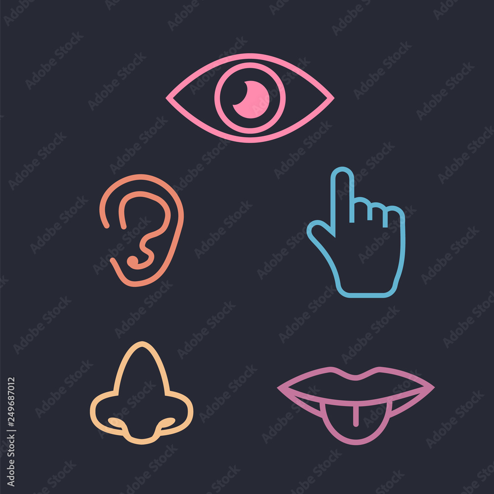 5 senses icon collection color. Five senses icon set Stock Vector ...