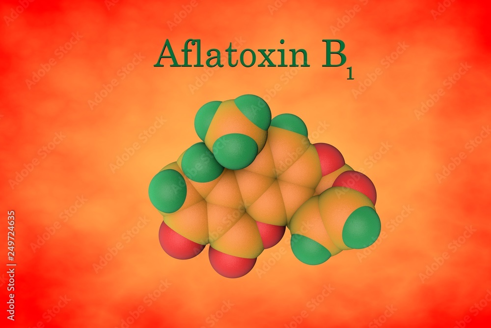 Molecular structure of aflatoxin B1, a potent hepatotoxic and ...
