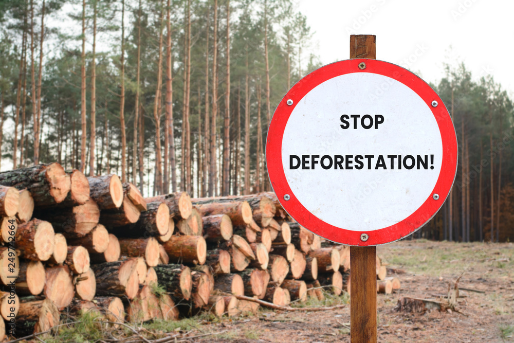 Stop Deforestation Sign