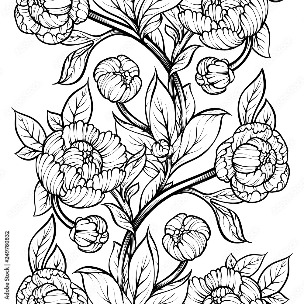 Peony flower seamless pattern line drawing. Vector hand drawn engraved ...