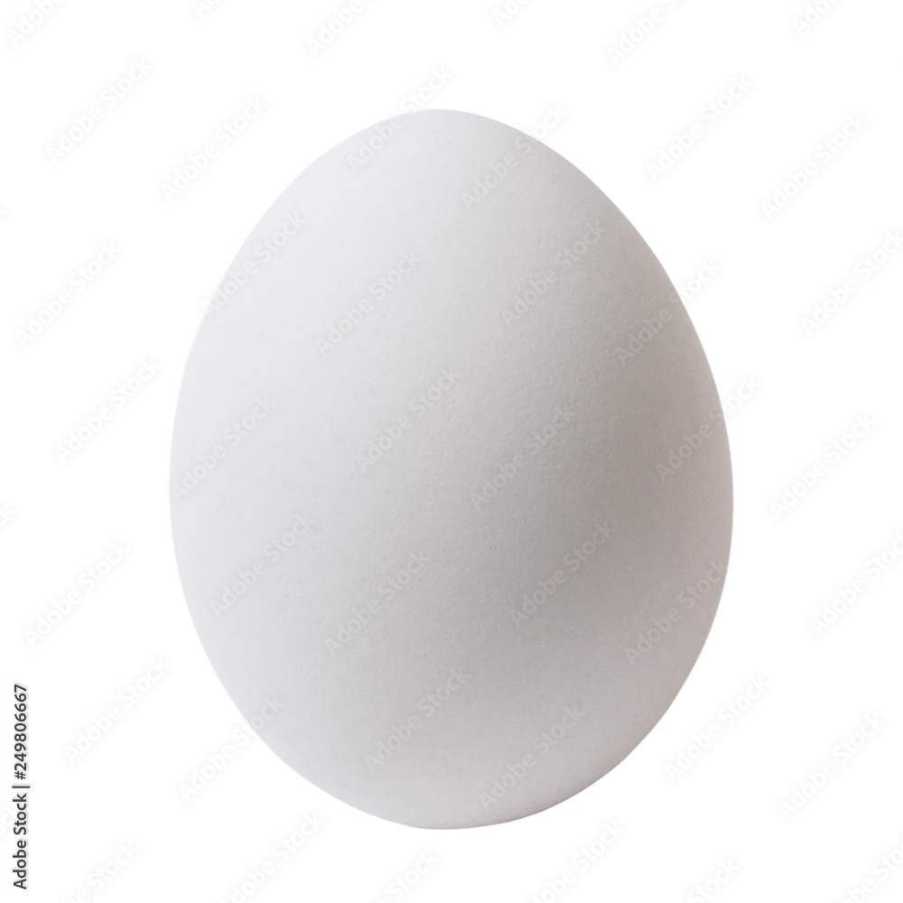 White Egg No Background