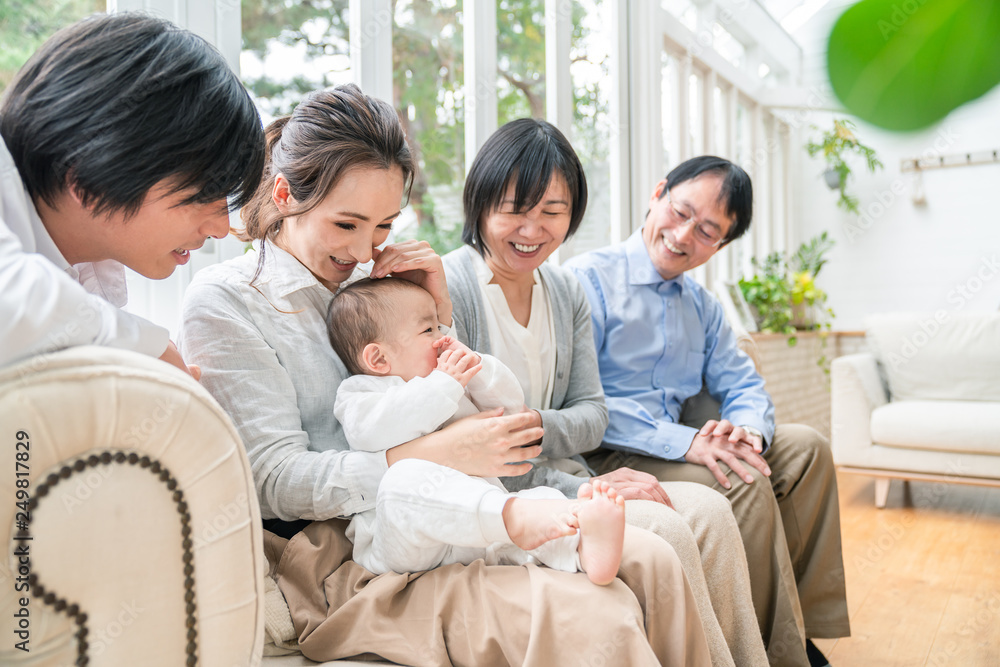 複合家族, 混合家族とは – VISHUJI