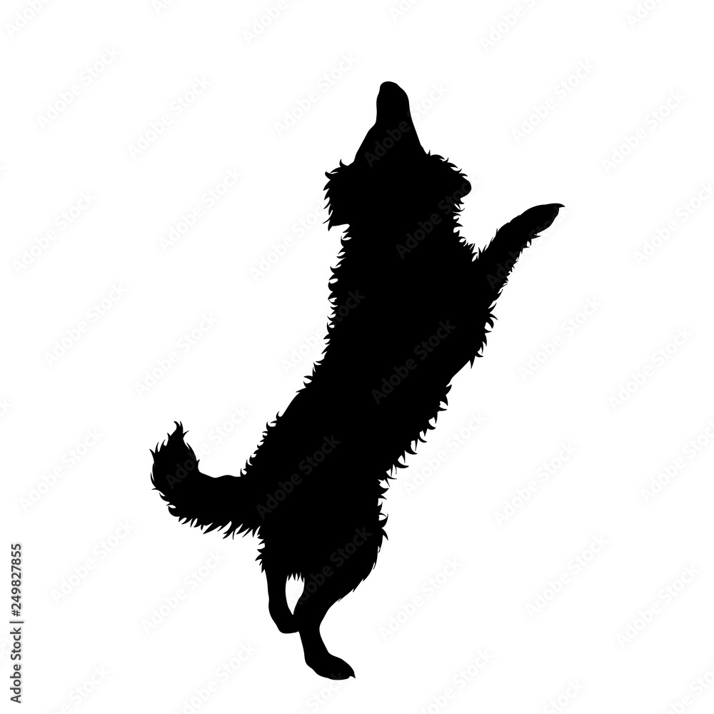 Jumping Dog Silhouette