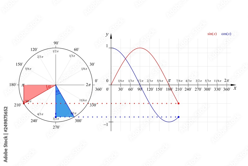 Education Series Math Sine Cosine Wave Vector Line Diagram 210° Degrees ...