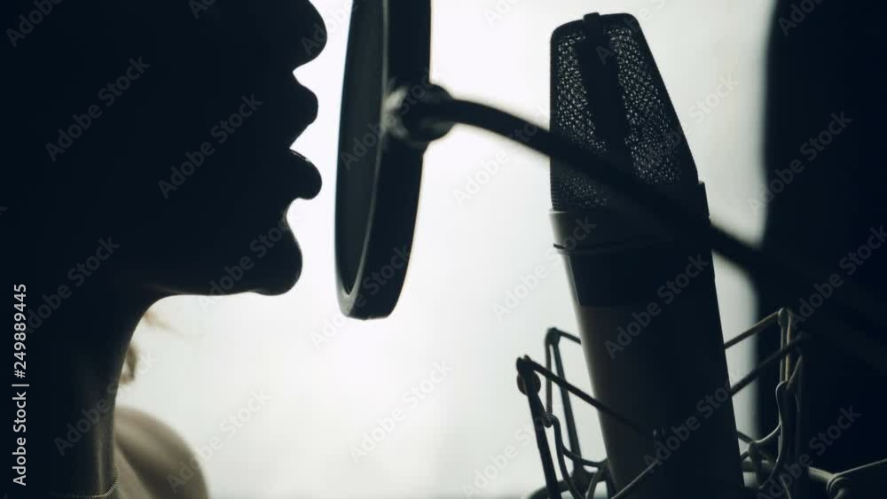 Lovely woman singing into the microphone in the recording studio ...