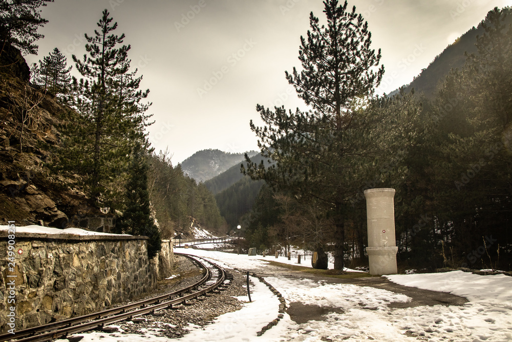 Narrow gauge railway track through forest with beautiful nature, stone ...