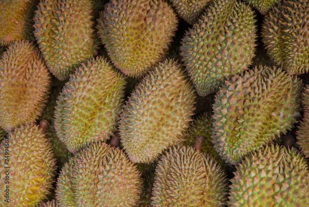 Durian, Durio zibethinus Murray, Durian from Thailand country Stock ...