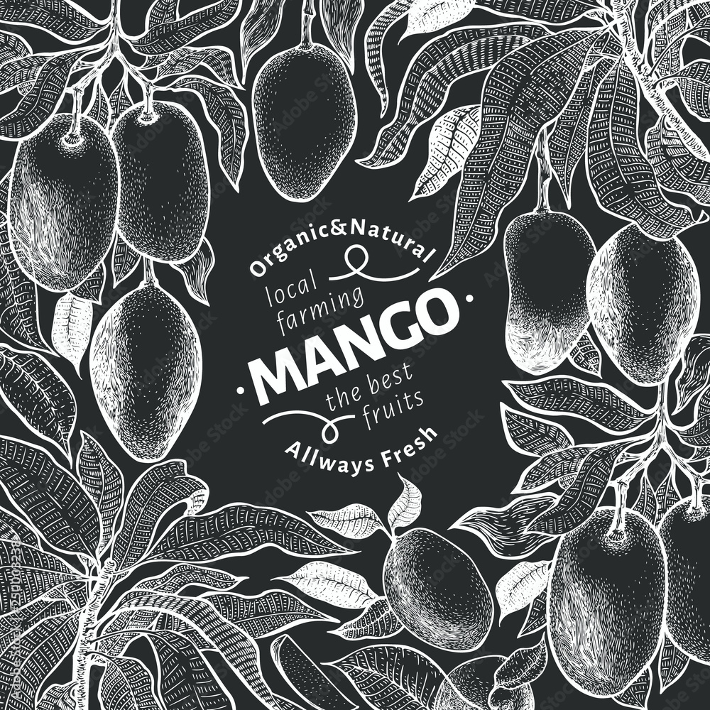 Mango tree vintage design template. Botanical mango fruit frame ...
