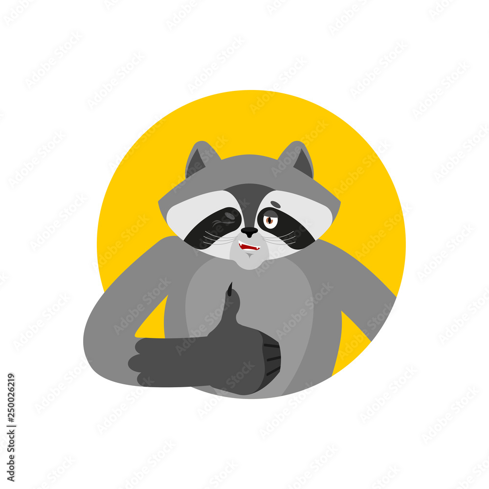 Raccoon thumbs up and winks. Racoon happy emoji. Coon Vector ...