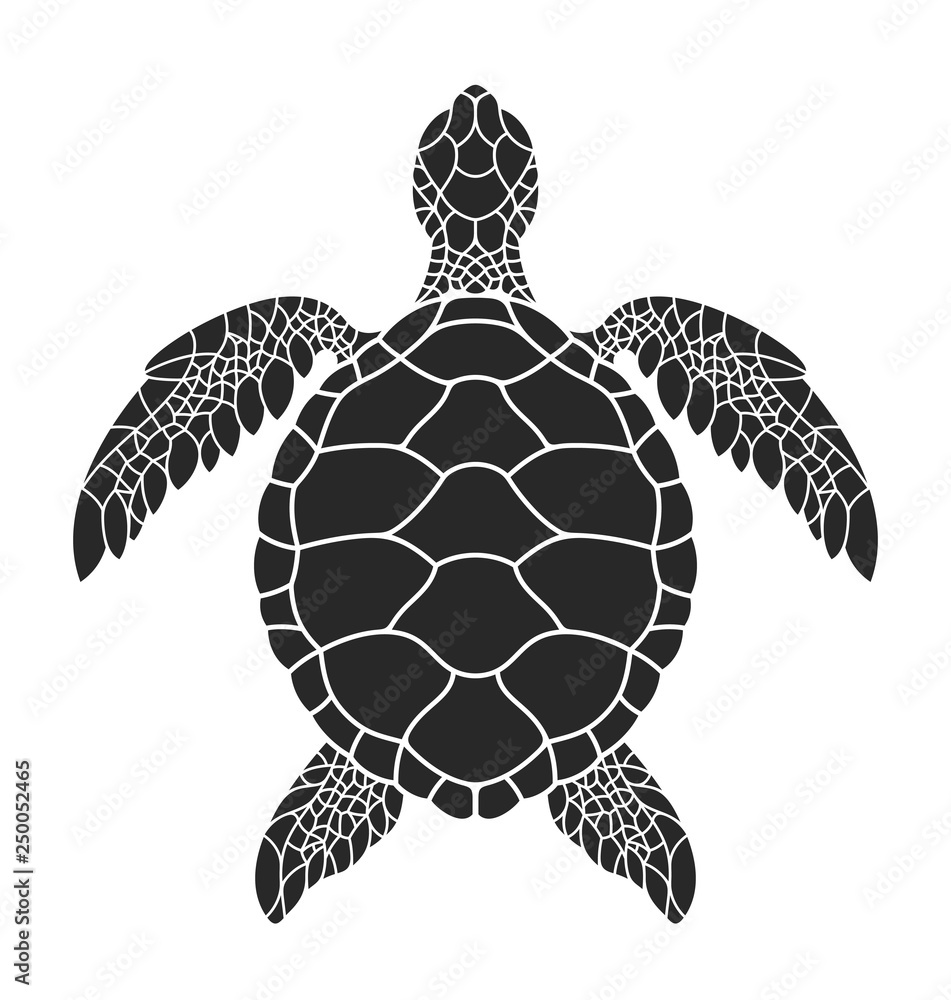 Sea Turtle Vector