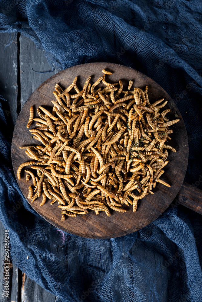 edible seasoned fried worms Stock Photo | Adobe Stock