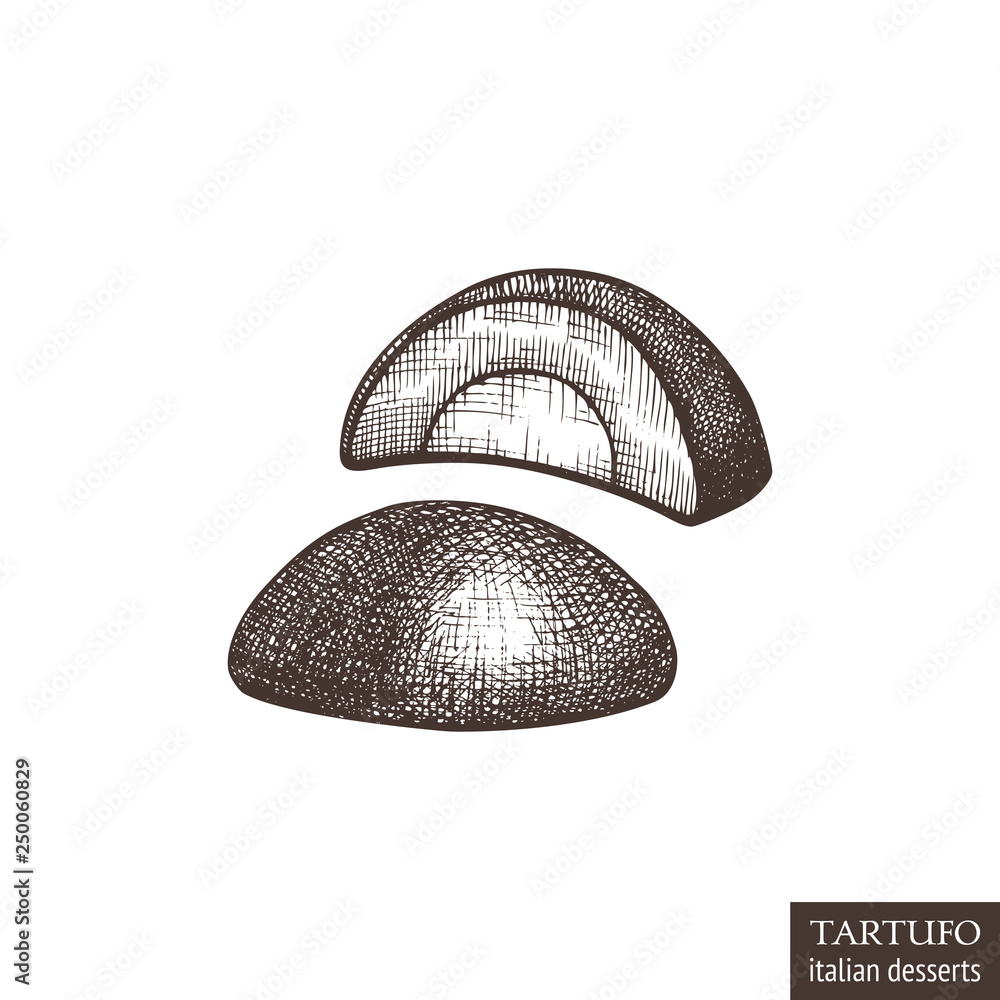 Hand drawn illustration of Tartufo. Italian Truffle. Vector drawing of ...