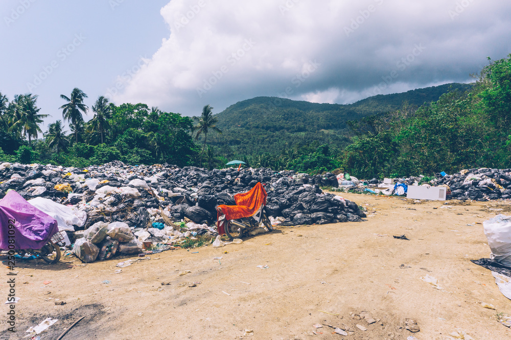 PLASTIC POLLUTION in the jungle. Dirty plastic bottles and bags on a ...