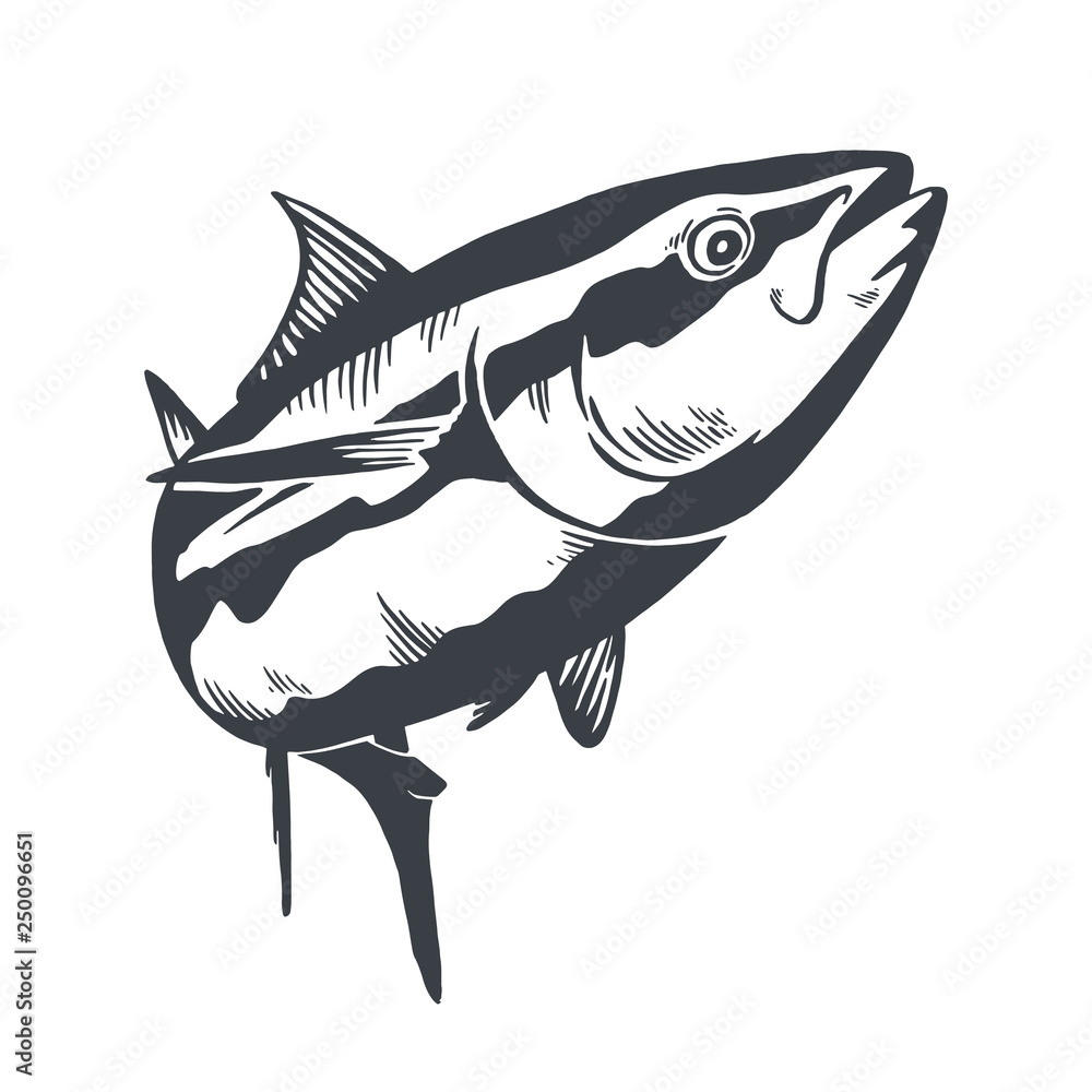 Tuna fish symbol on white background,Vector. Sport fishing club ...
