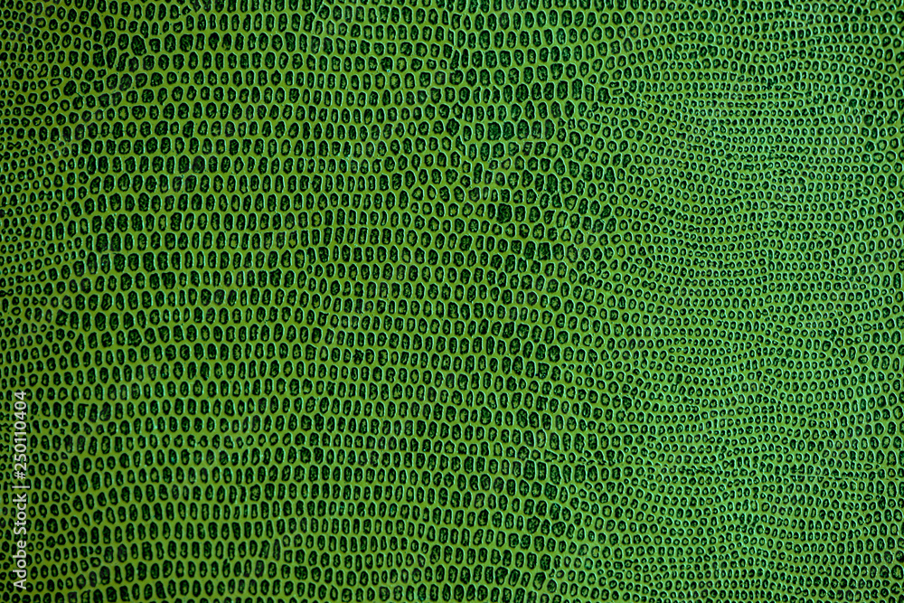 snake skin pattern texture background Stock Photo | Adobe Stock
