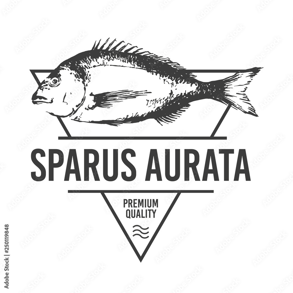 Vector triangular Sea Sign Elements can be used as Logo or Icon in ...