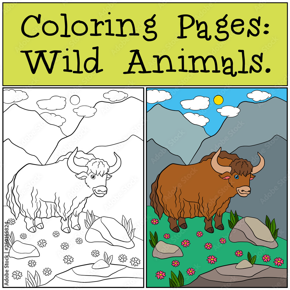 Coloring Pages: Wild Animals. Beautiful cute yak smiles. Stock Vector | Adobe Stock