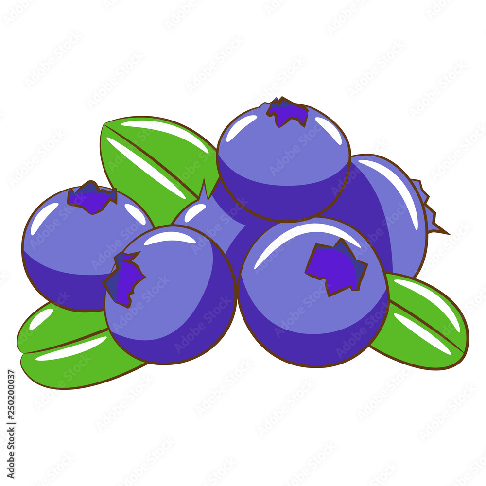 Blueberry vector clipart Stock Vector | Adobe Stock