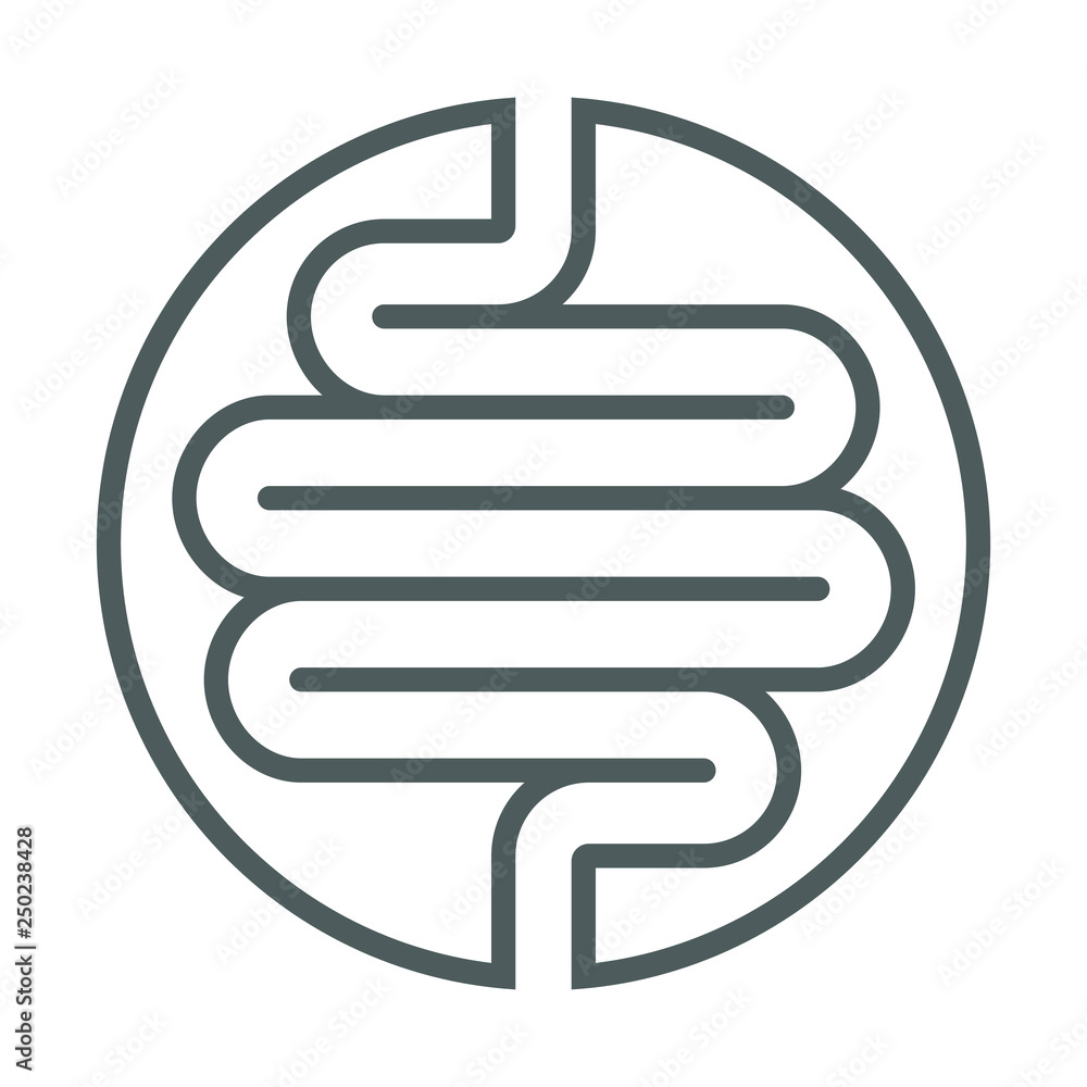 Intestine human icon. Isolated medical symbol in circle on white ...