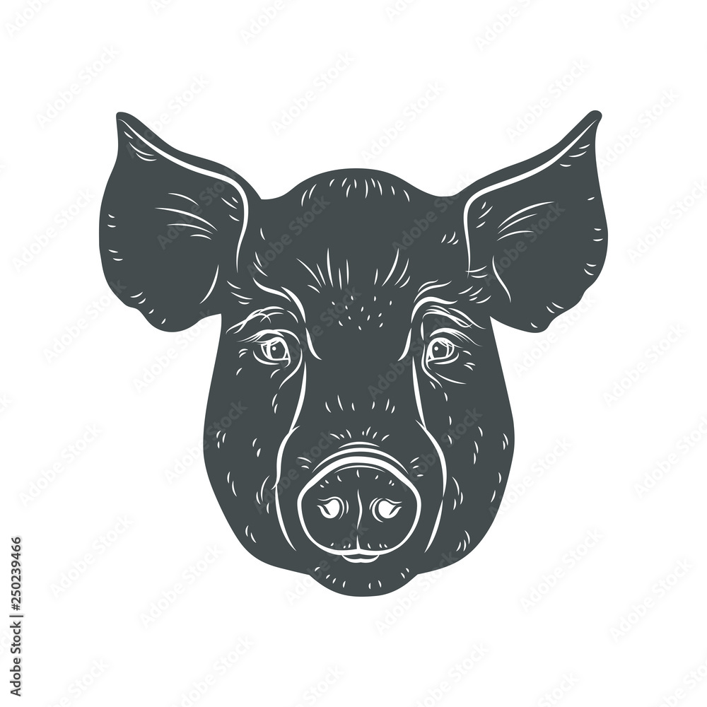 Pig head isolated on white background. Hog, pork, piglet, swine, boar ...