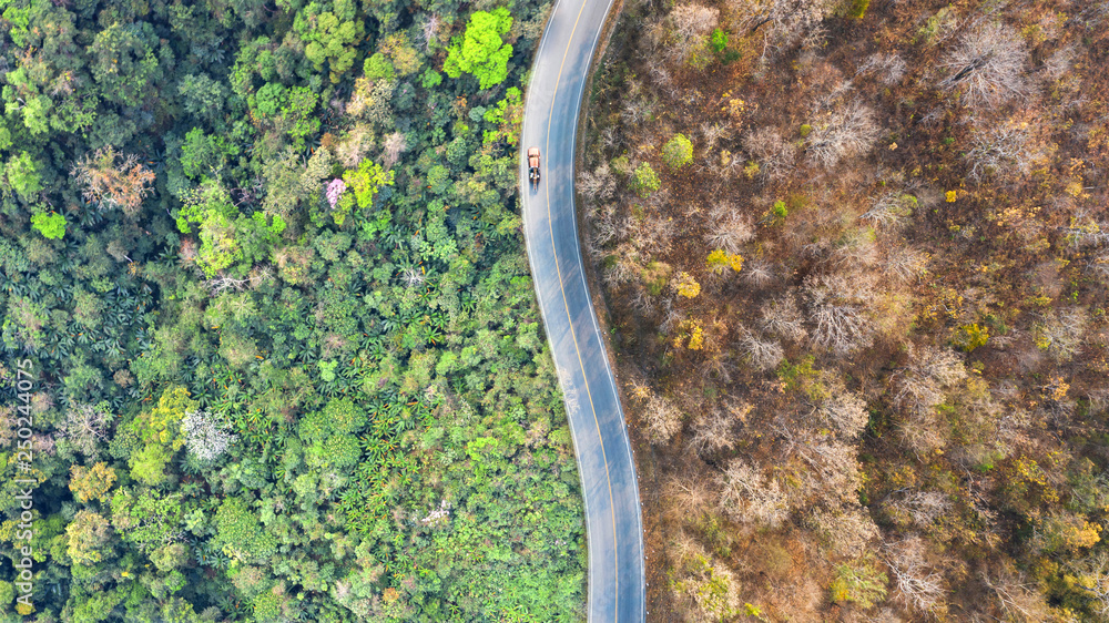 Aerial top view of a road in the forest, The concept of Dry forests and ...