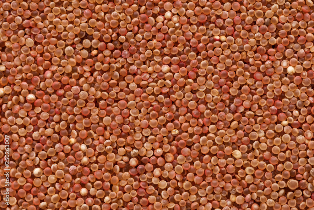 High quality seeds of amaranthus, flower in a texture form for your ...