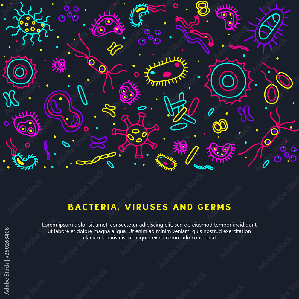 Microorganisms Bacteria Viruses Fungi