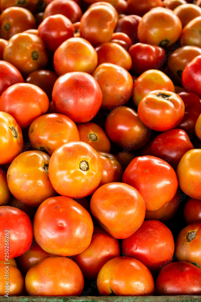 Tomate Stock Photo | Adobe Stock