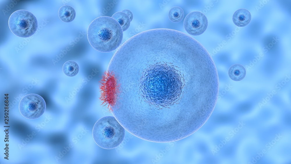 3D illustration of process infecting cell of pathogenic microorganisms ...