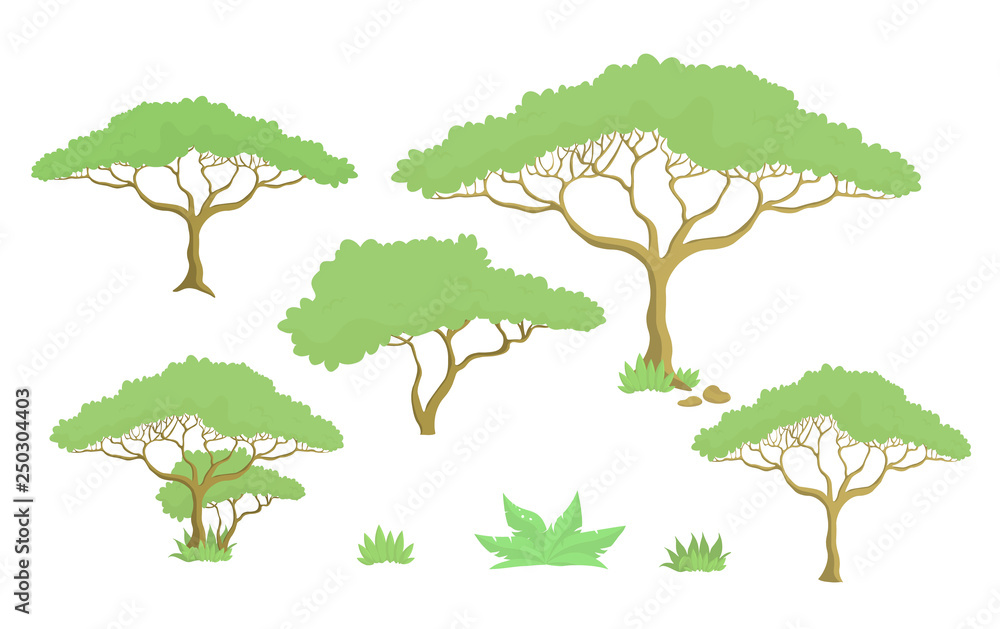 Baobab tree design set isolated on white background-vector illustration ...