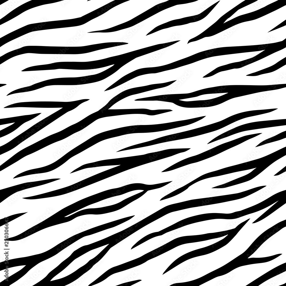 Black And White Zebra Patterns