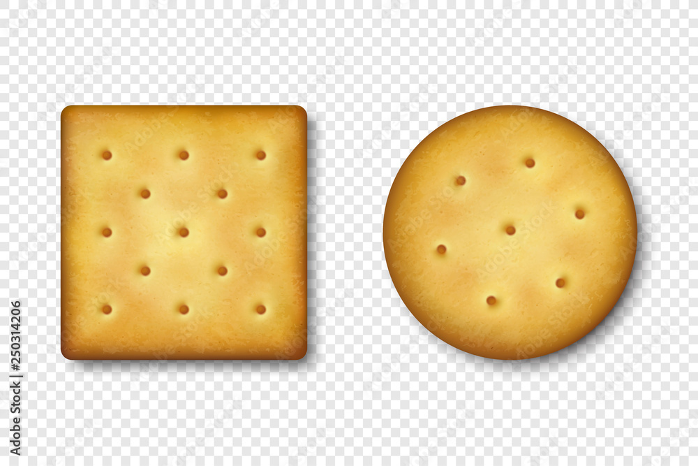 Realistic Vector 3d Round and Square Delicious Salty Cookies Rustic ...