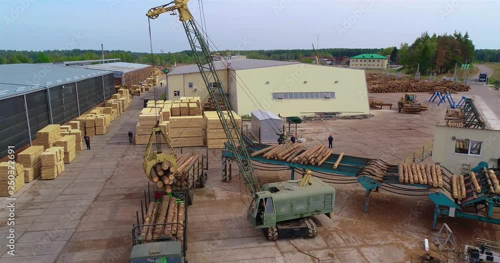 Crane unloads logs on the sorting line. Automated log sorting at a ...