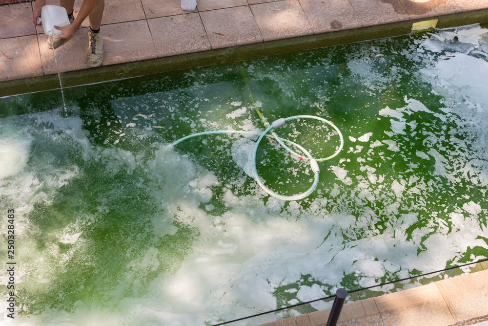 man pouring acid into green pool Stock Photo | Adobe Stock