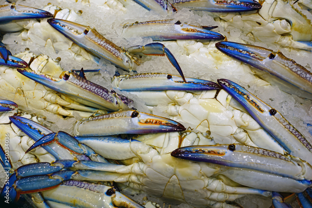 Blue swimmer crab (Portunus armatus) for sale at a seafood market in ...