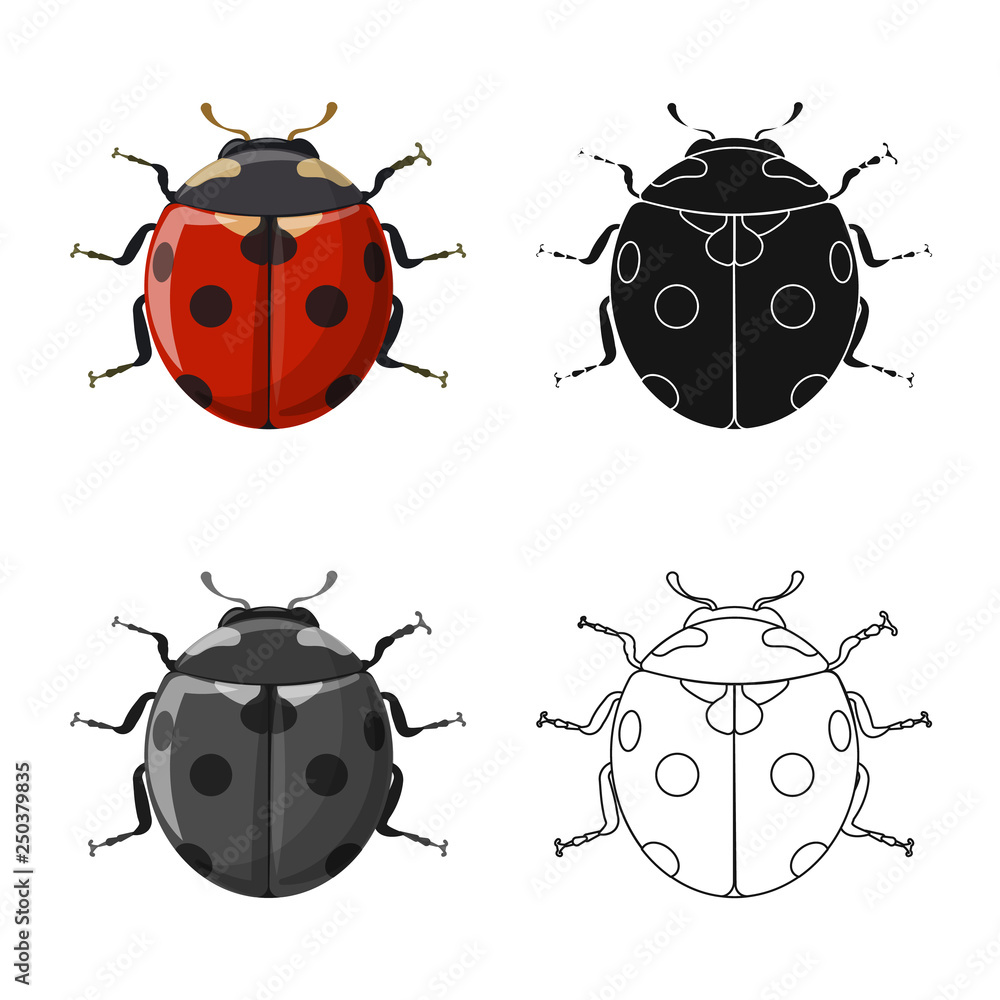 Vector illustration of insect and fly logo. Set of insect and element ...