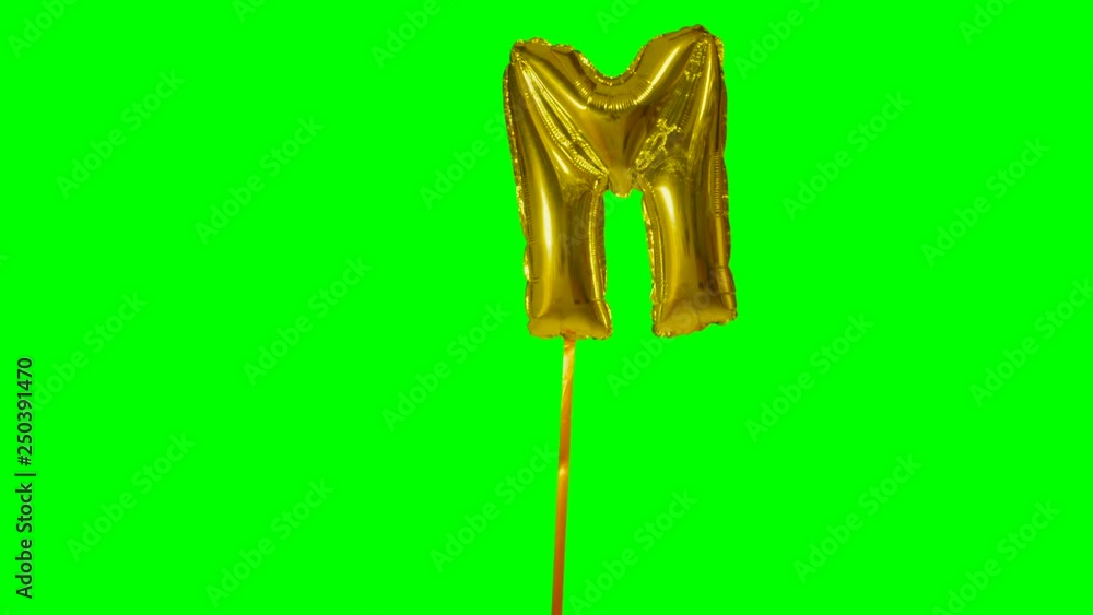 Letter M from alphabet helium gold balloon floating on green screen ...