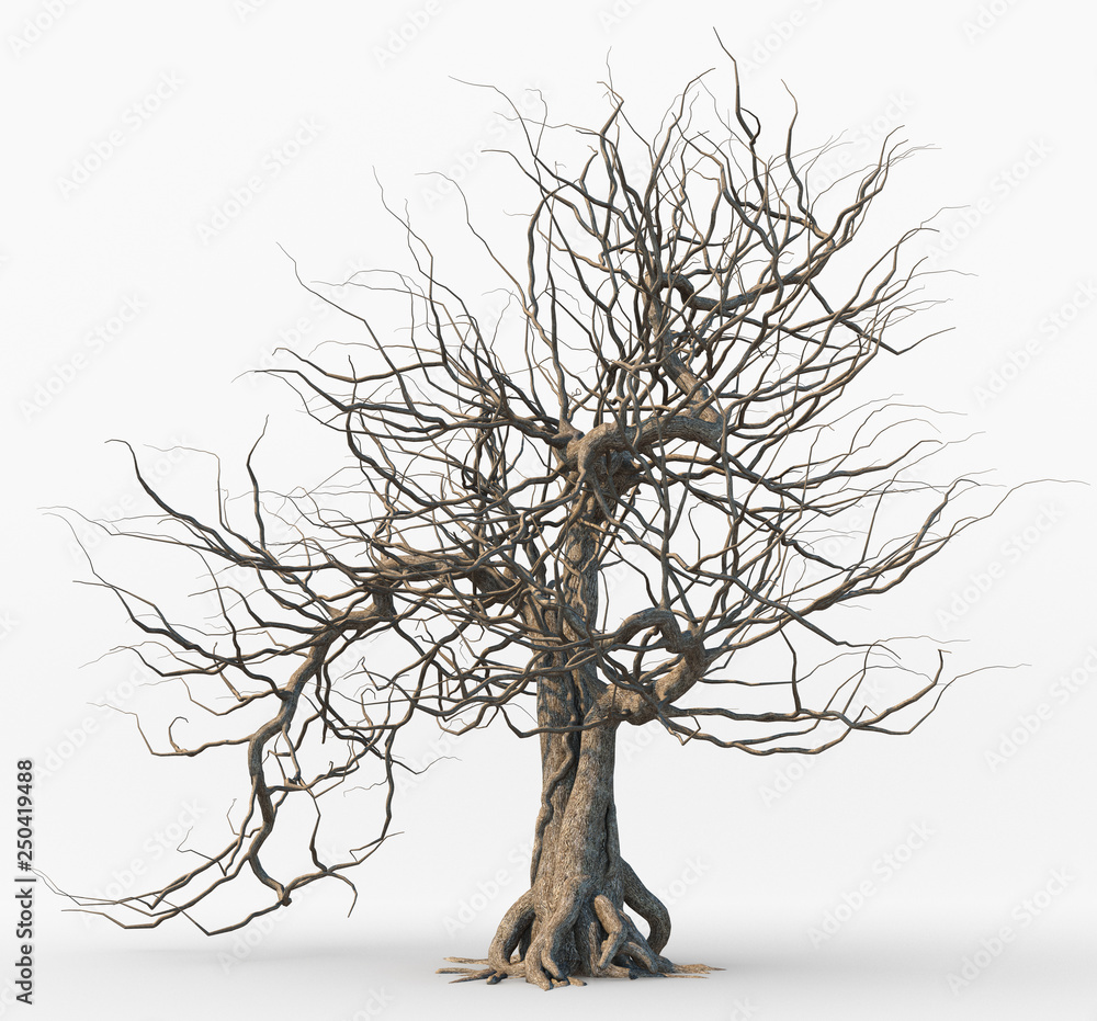 Dead tree isolated on white background. Stock Illustration | Adobe Stock